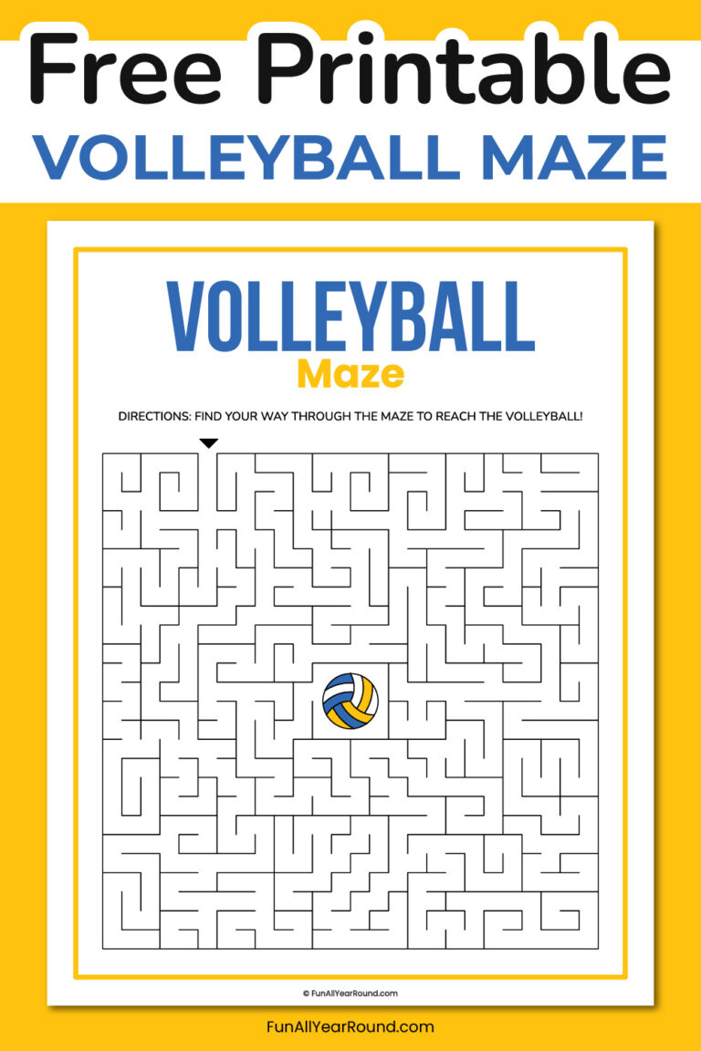 Volleyball maze - Fun All Year Round