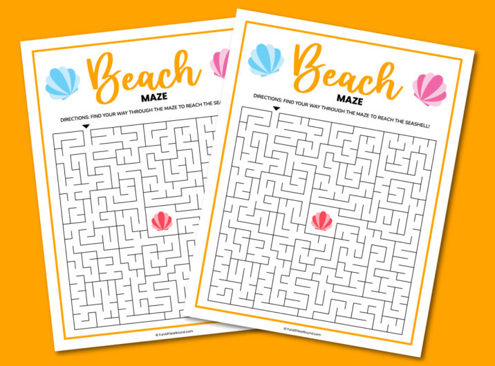 Beach maze - Fun All Year Round