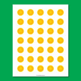Leprechaun Gold Coins - Fun All Year Round